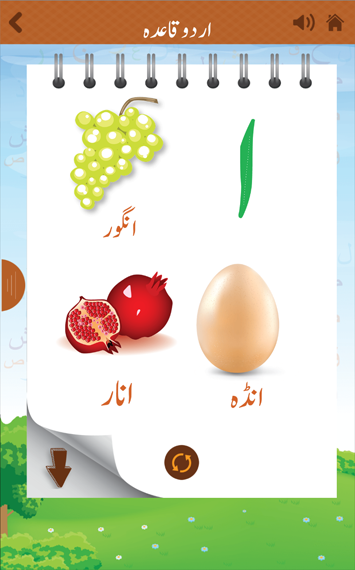 Best Urdu Qaida Book for Kids
